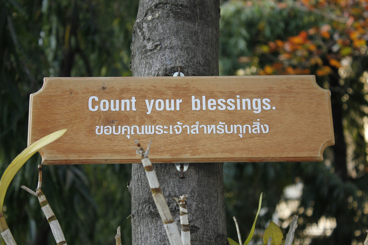 Thai Blessing Quotes