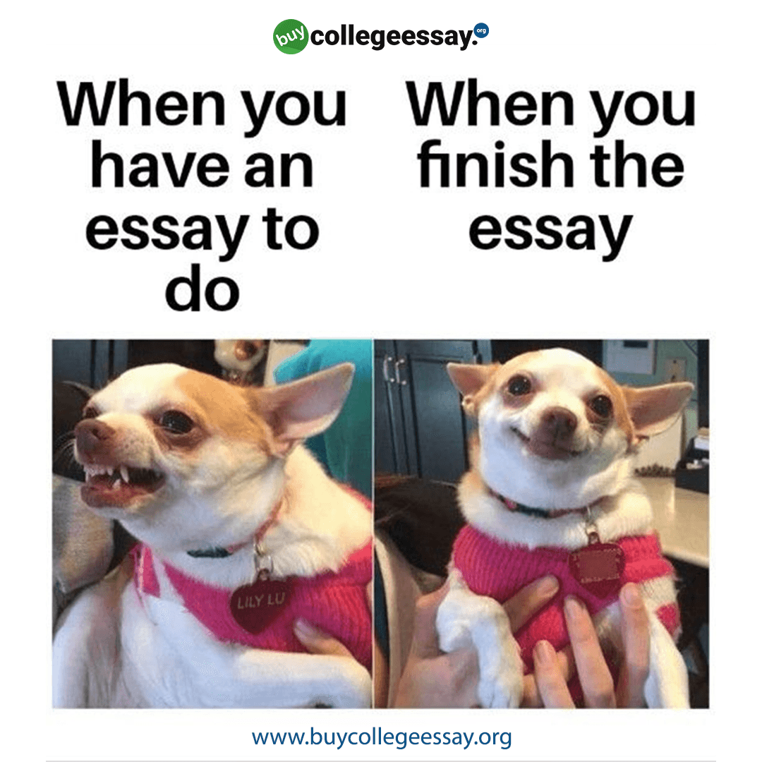 College Essay Memes
