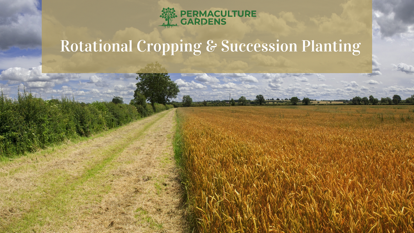 Crop Rotation Agricultural Revolution