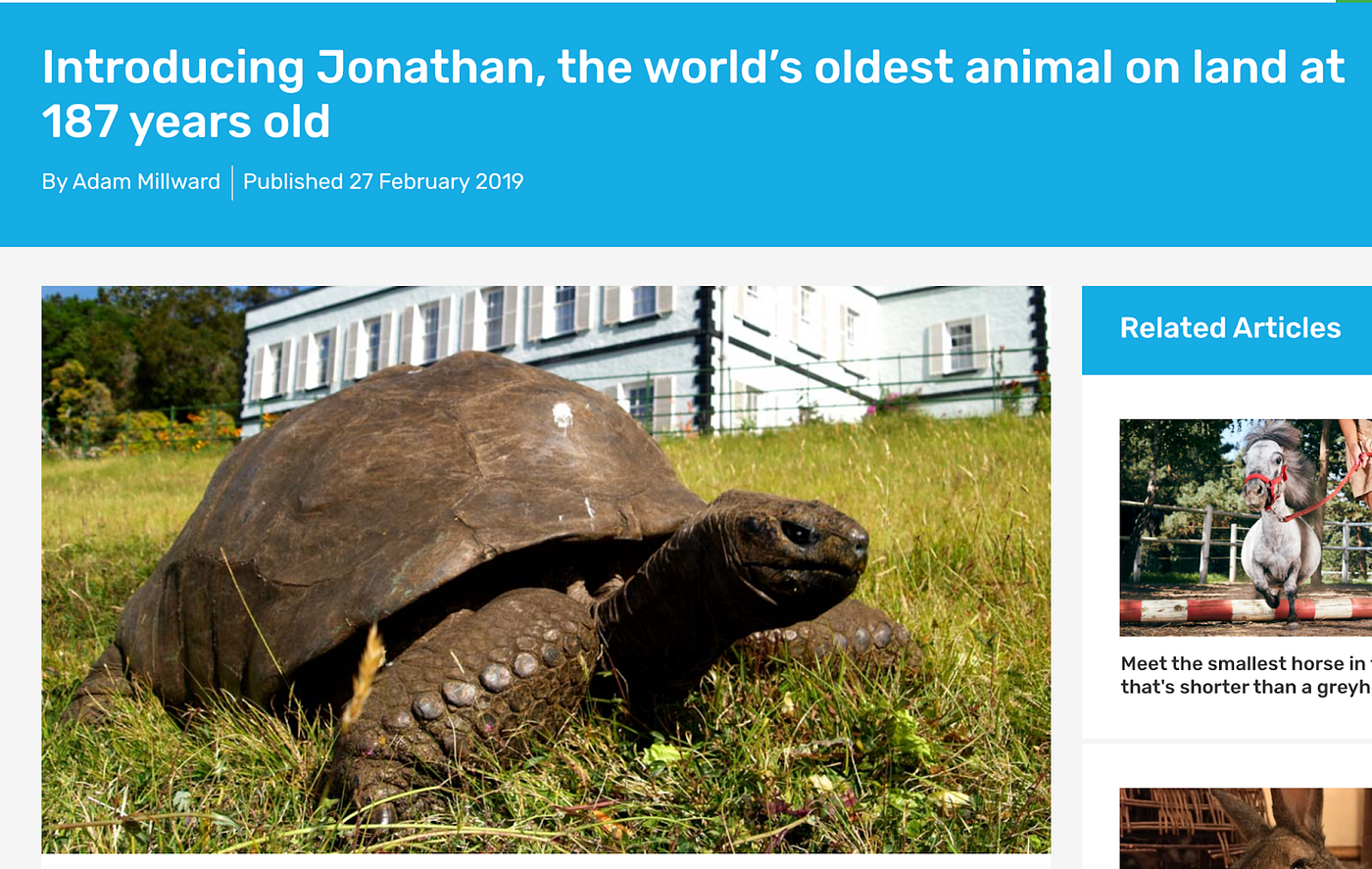 Introducing Jonathan The Worlds Oldest Animal On Land At
