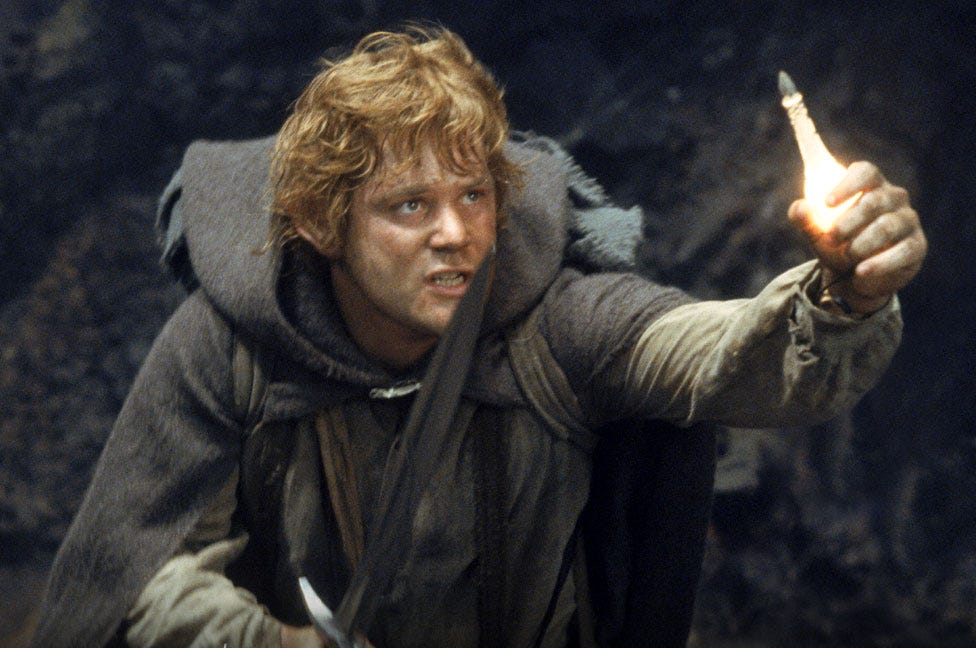 Sam Lord Of The Rings Actor