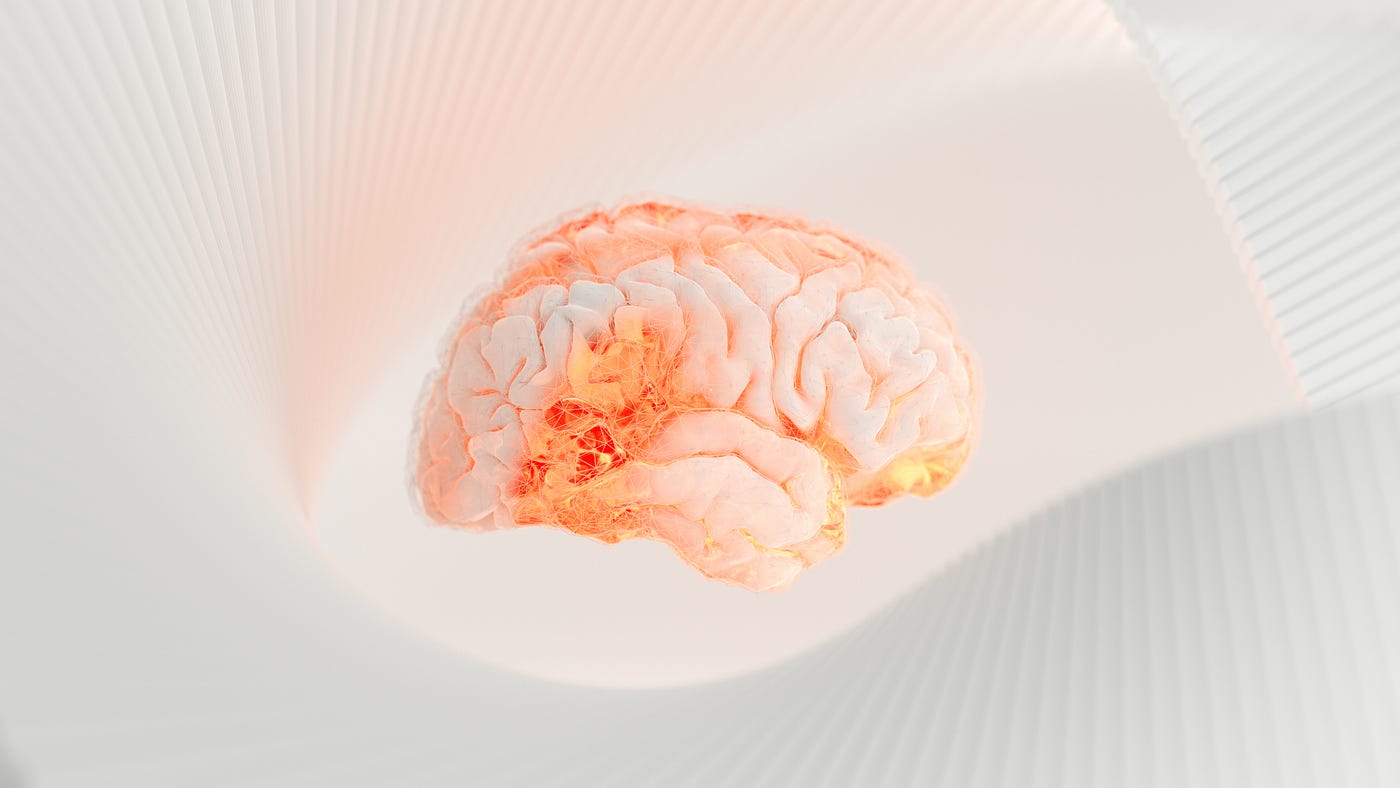 Prefrontal Cortex Your Prefrontal Cortex Is The Brain's Command