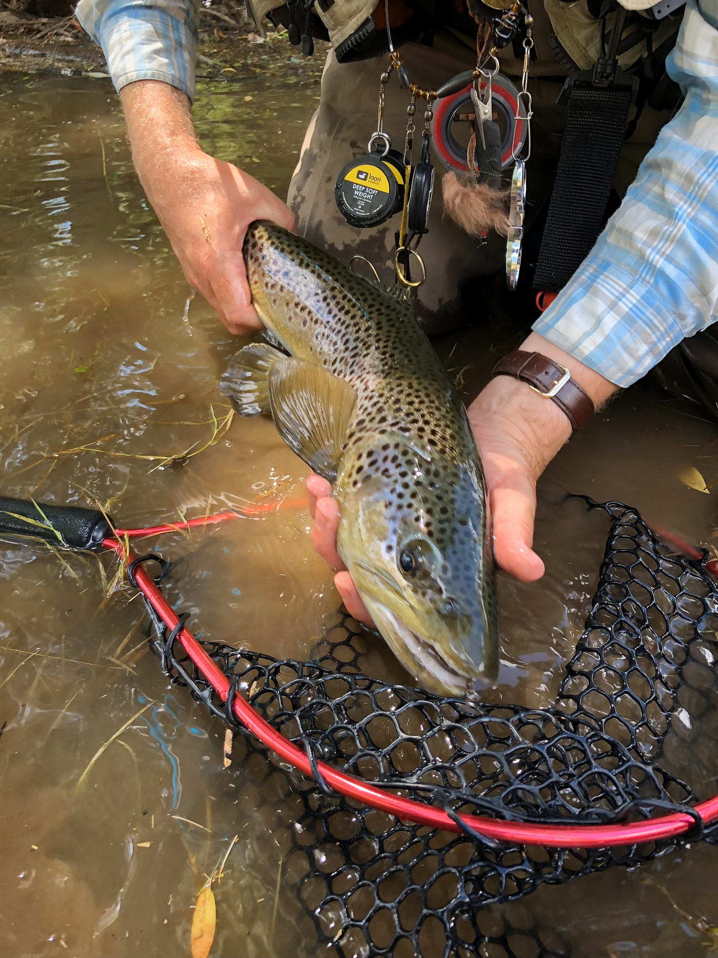 Trout Fishing Rivers In Washington State