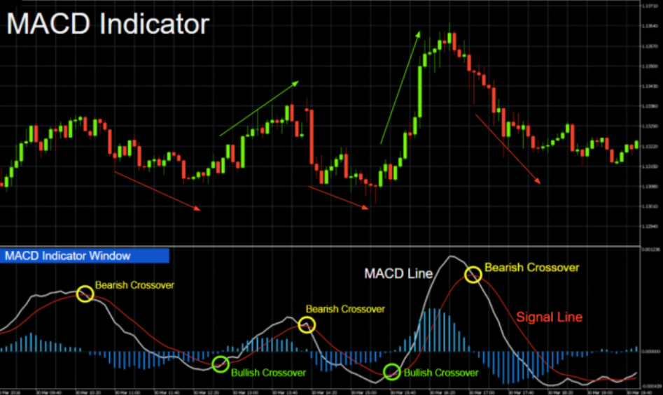 MACD Indicator How To Use Beginner Friendly by CoinW Exchange Medium