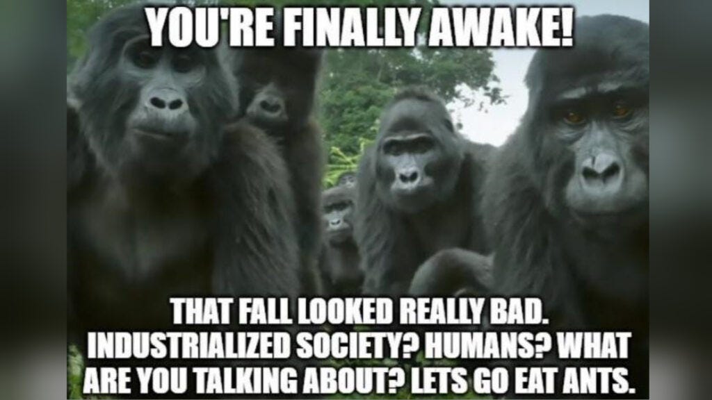Who Still Awake Meme
