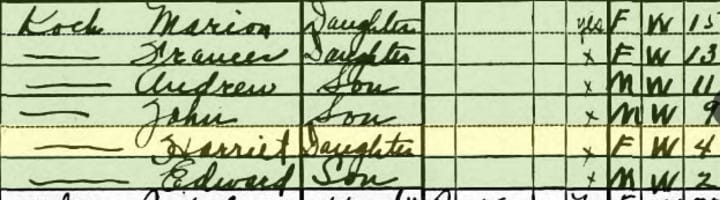 Steve Carell Family Tree