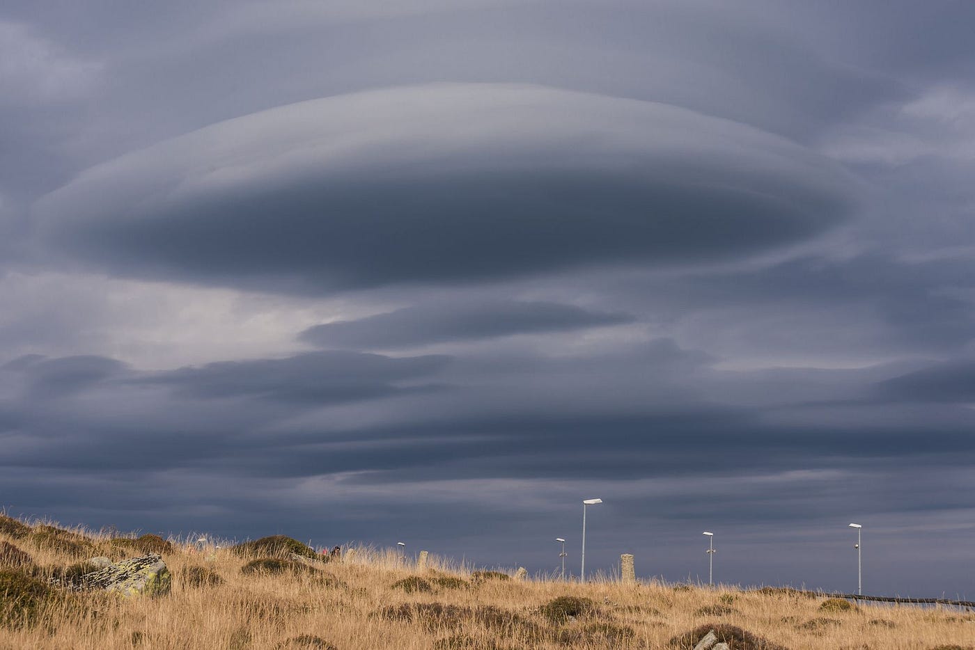 Raining Animals Phenomenon
