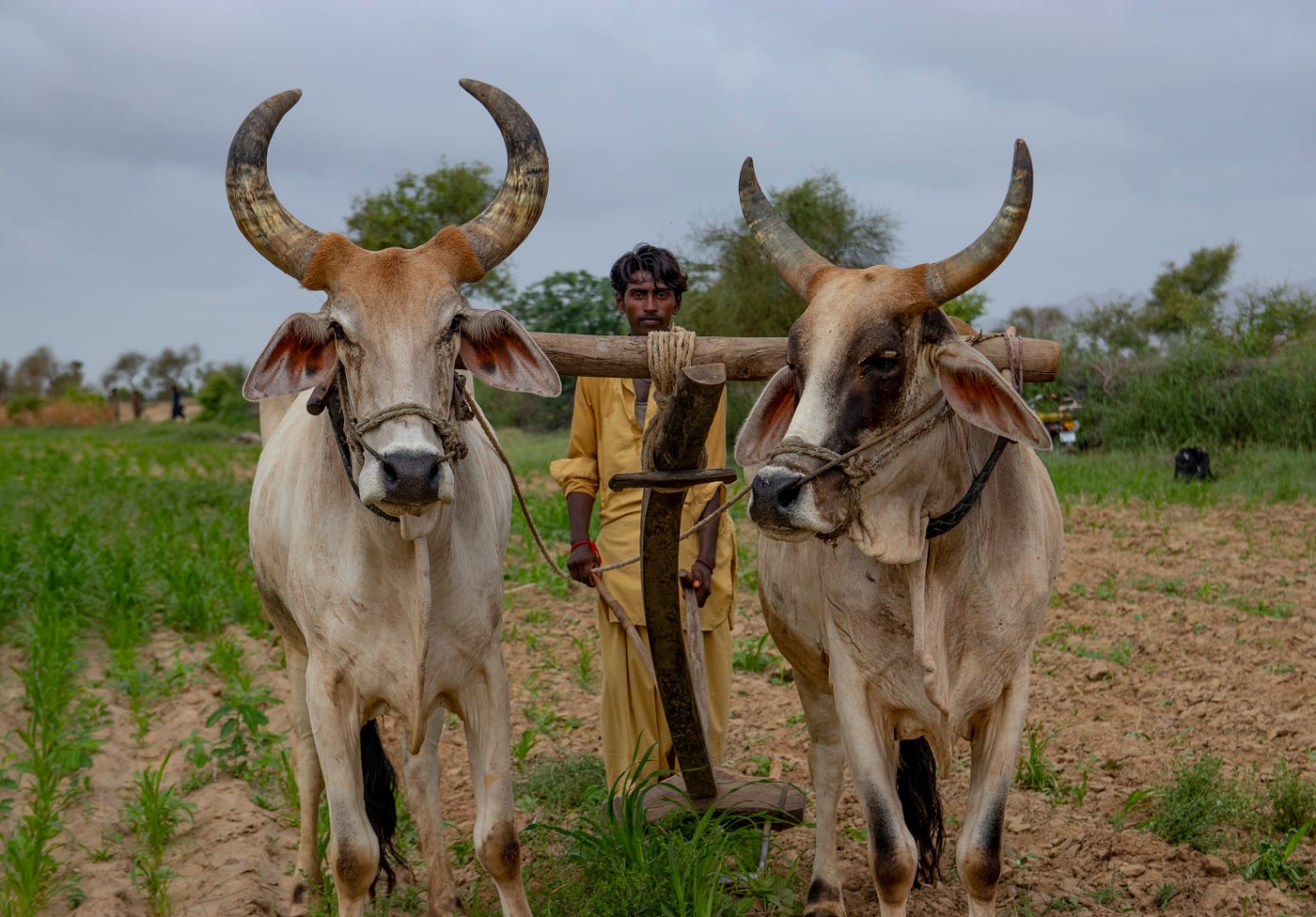 Yoked Meaning THE WORKS OF THE YOKE Part A| PASTOR JOSEPH SSEKISAKA