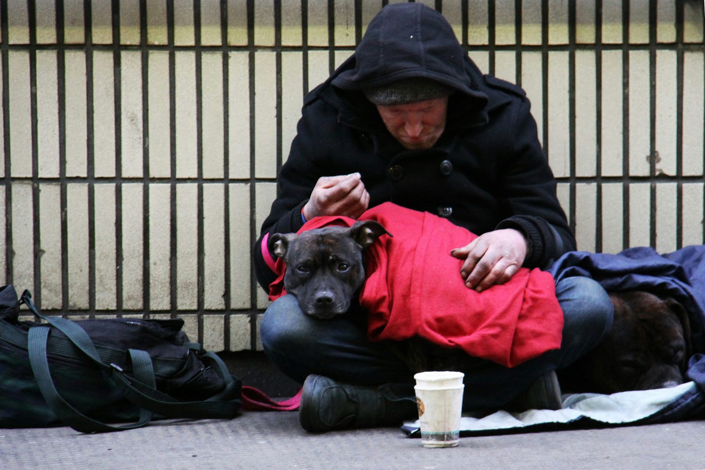 The Heartfelt Moment of Compassion: A Homeless Man’s Love for His Dog ...