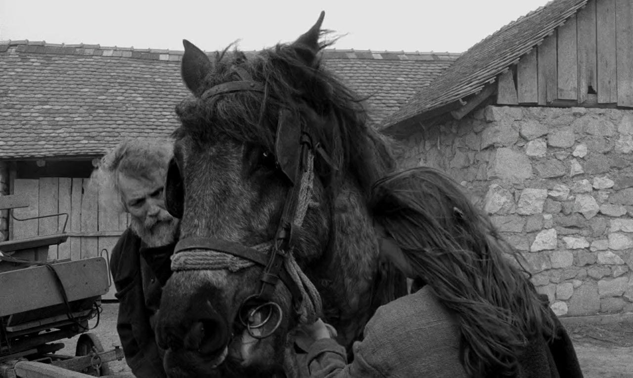 The Turin Horse Nietzsche Eternal Recurrence The Project Gutenberg