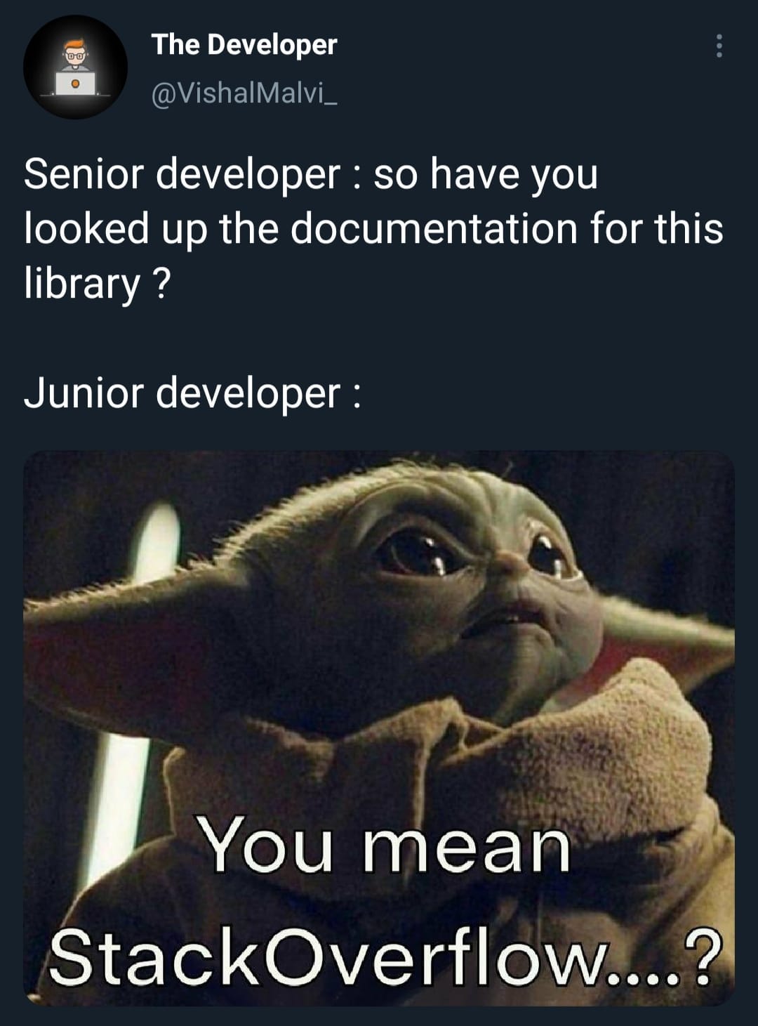 Developer Internet Memes