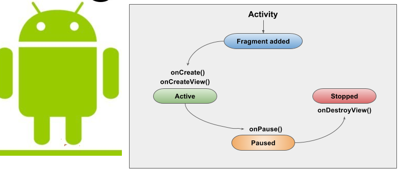 Android Fragment Tutorial Examples And Forms Activity And Fragments