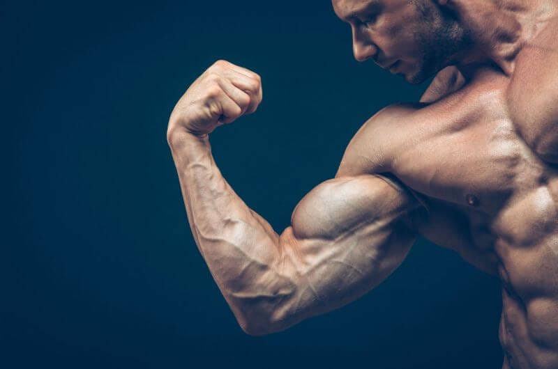 Vascular Bodybuilding