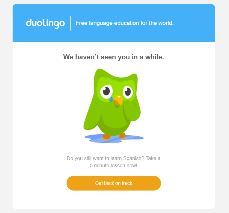 Duolingo Owl