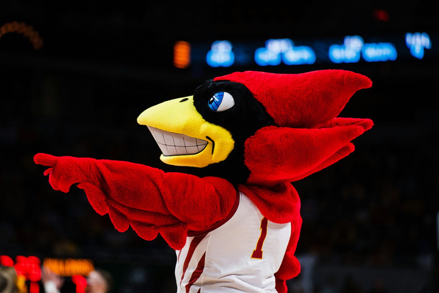 Cardinals Mascot College