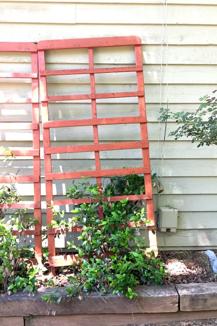 Garden Trellis Repurposed