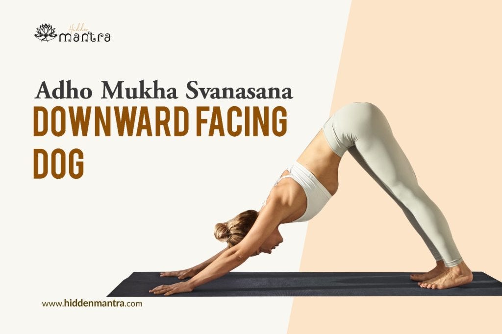 Adho Mukha Svanasana Steps