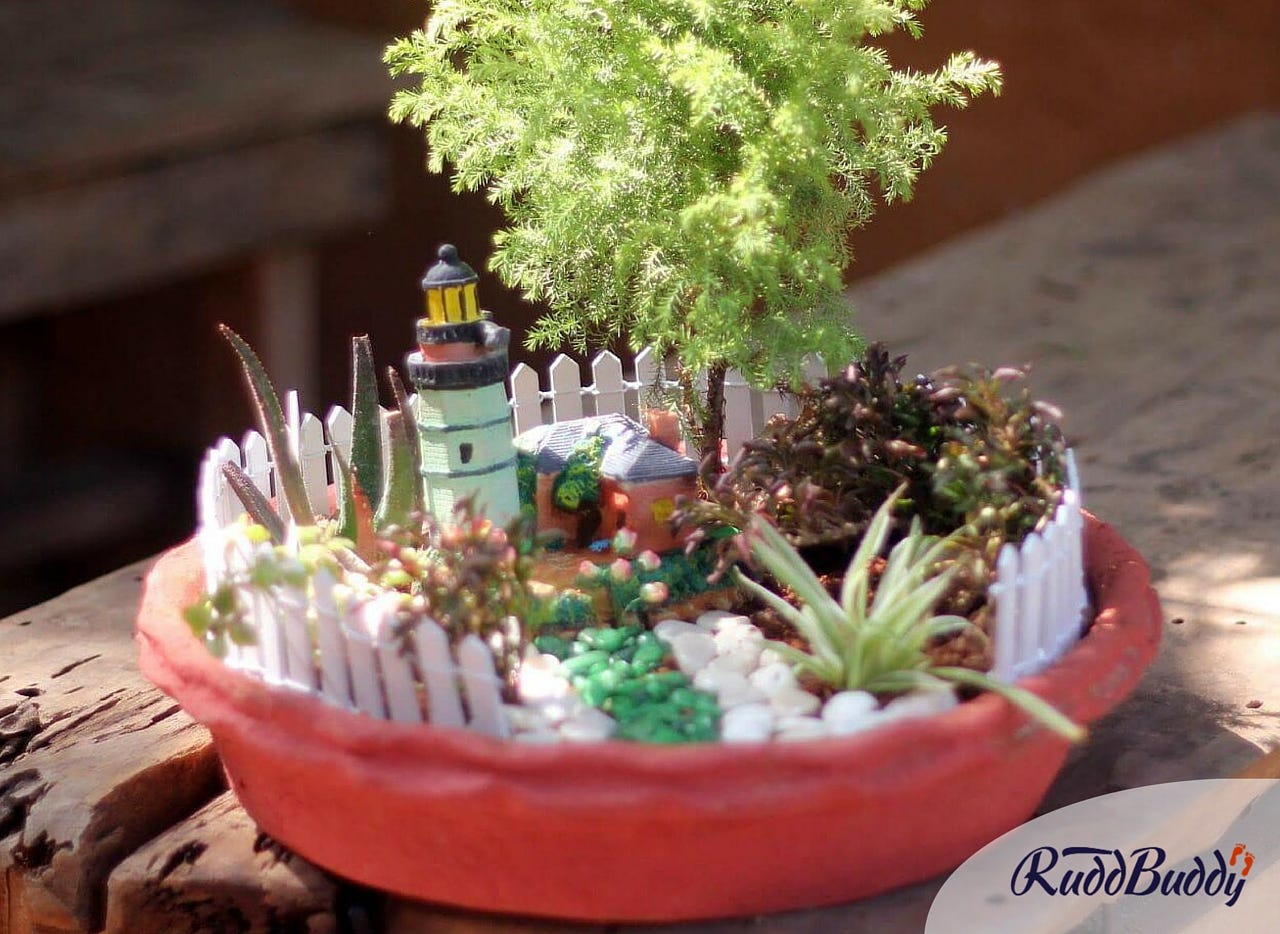 Cool Miniature Gardens Fairy Garden Fun For Tiny Gardeners – Gnome