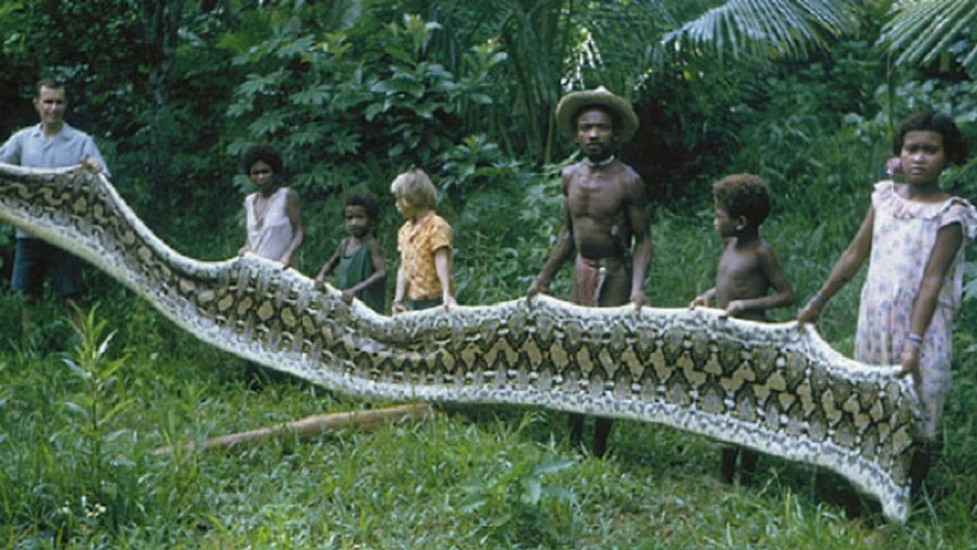 Half Human Half Snake Lady China