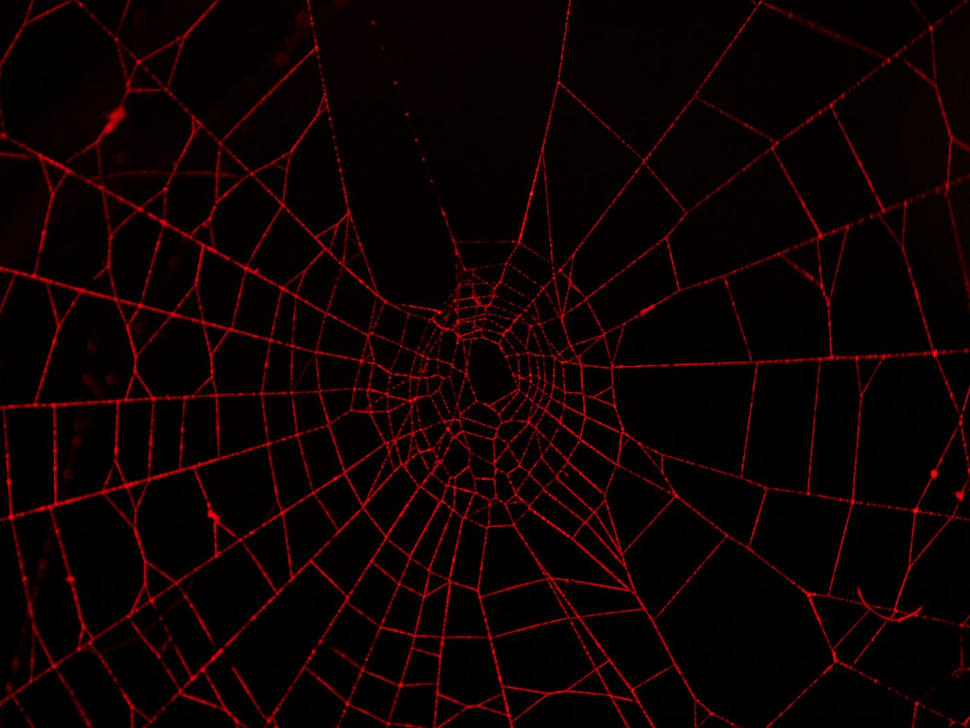 Red Black Website Background