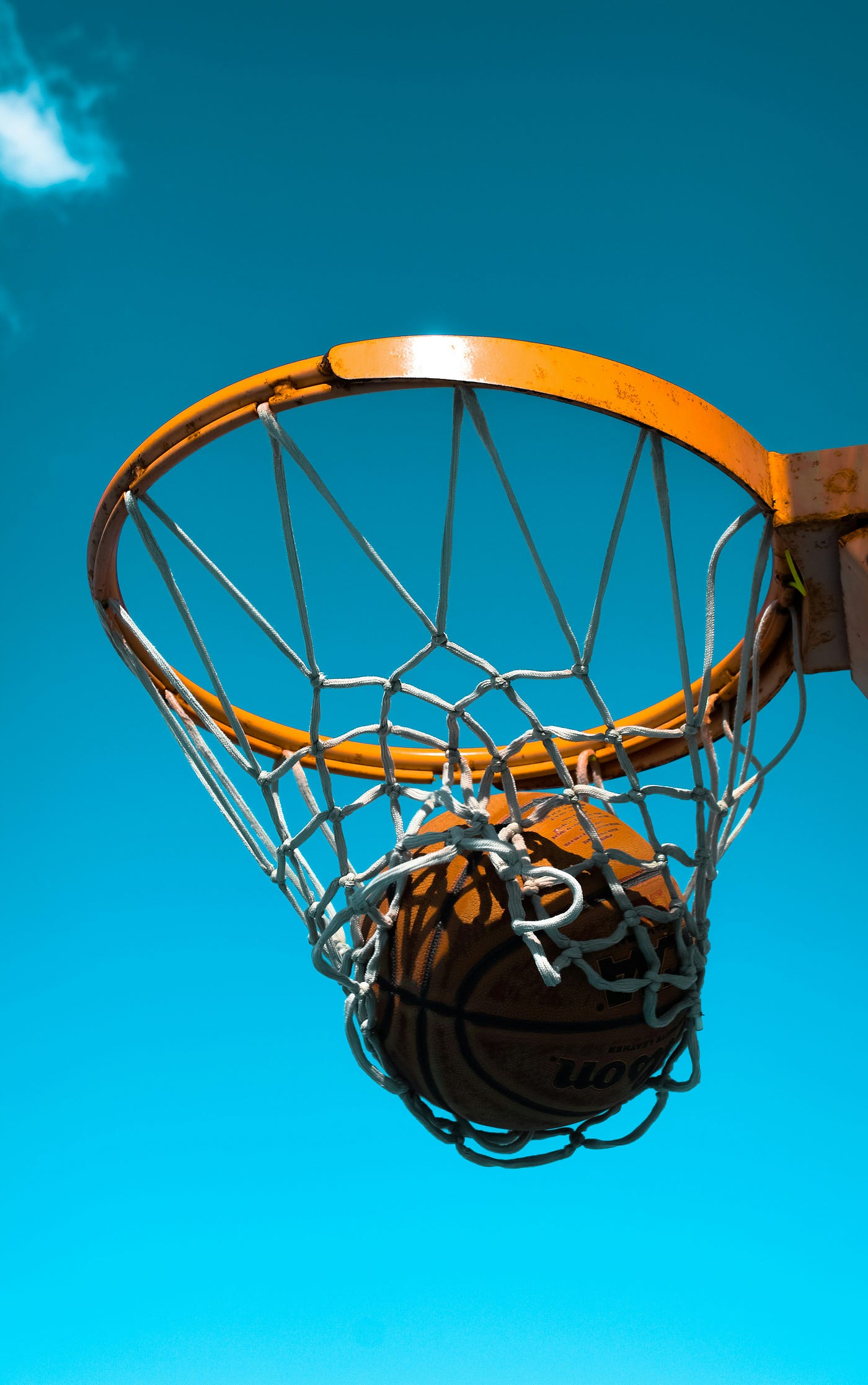 What Are The Parts Of A Basketball Hoop
