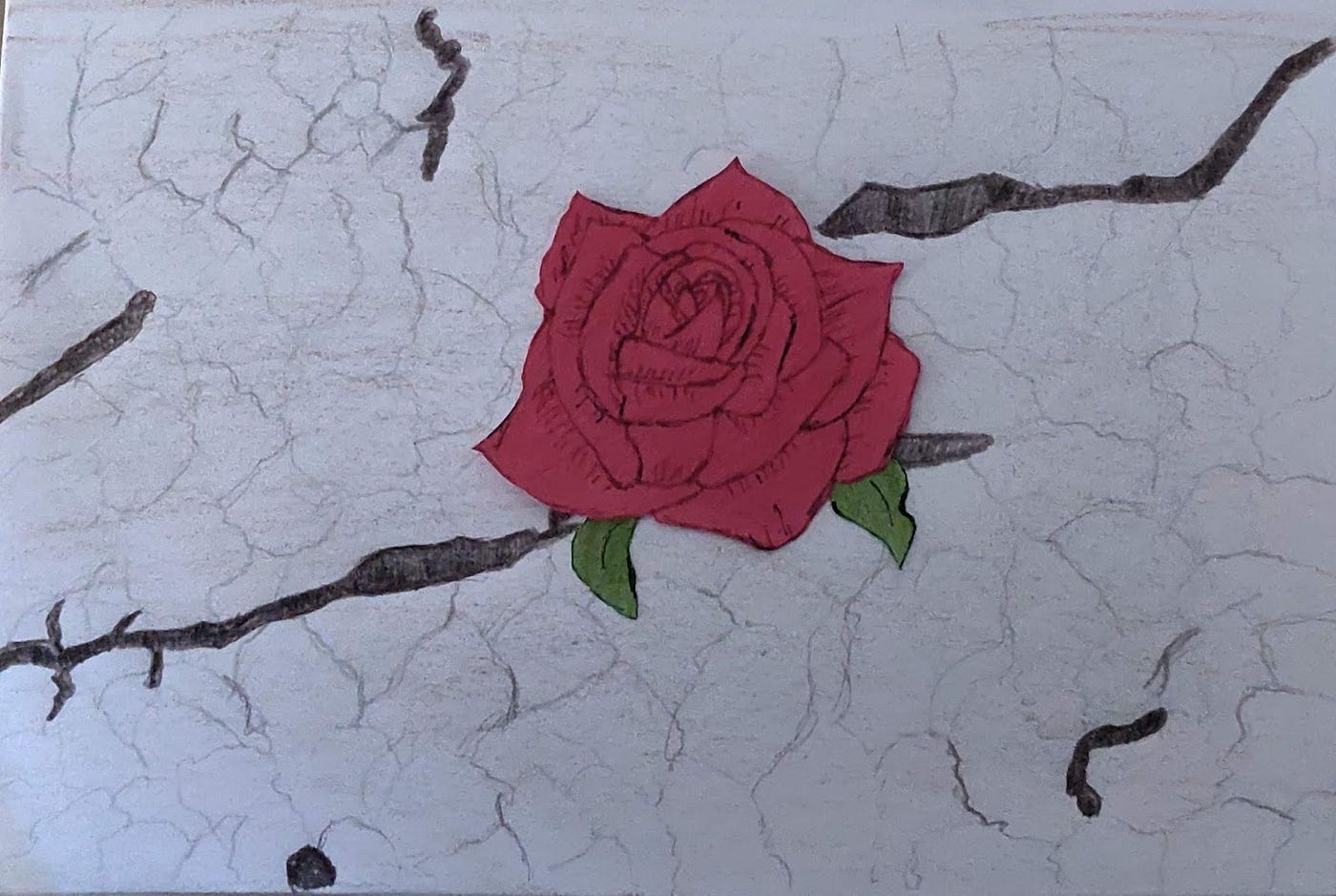 The Rose That Grew From Concrete Drawings
