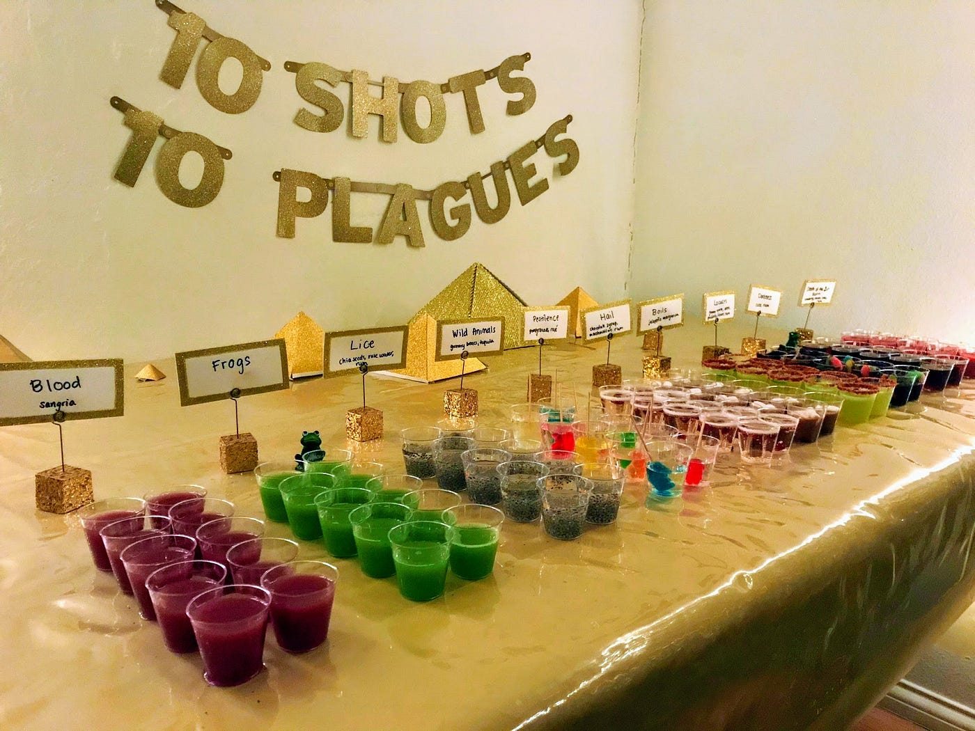Passover Bag Of Plagues