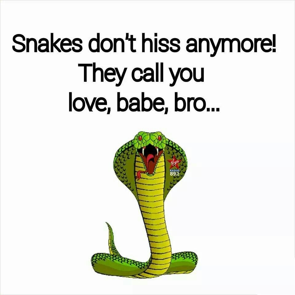 Snake Lover Quotes Just As A Snake Sheds Its Skin, We Must Shed Our