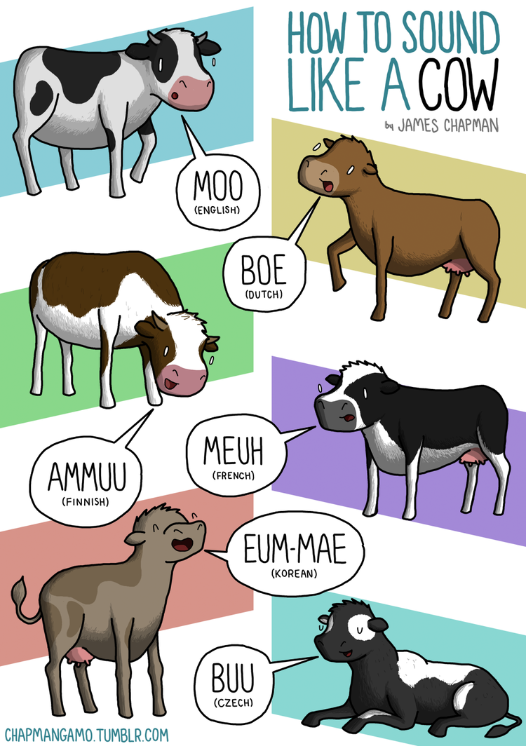 Dope Animals Tumblr