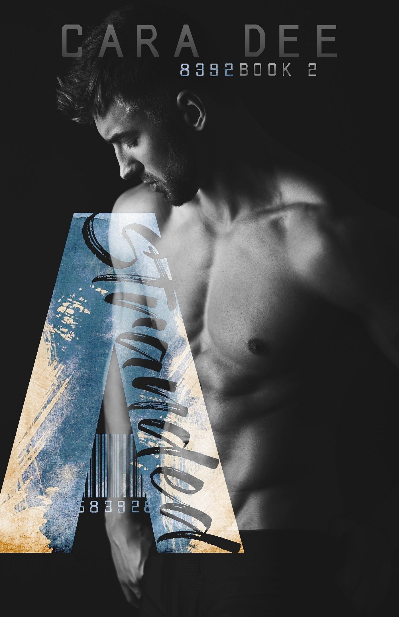 Stranded 2 Book