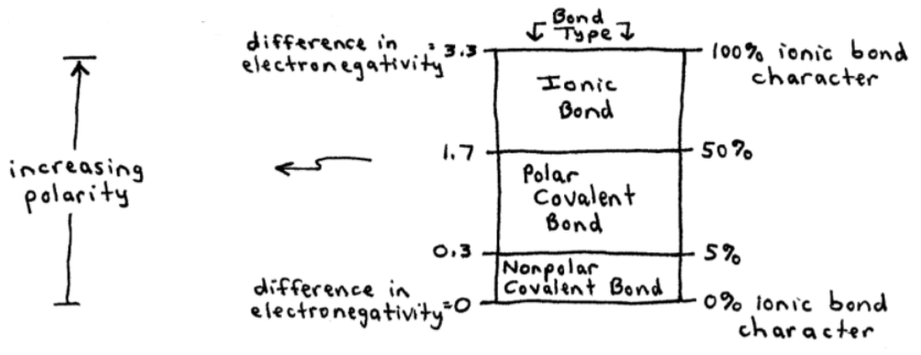 Electronegativity Ranges And Bonds