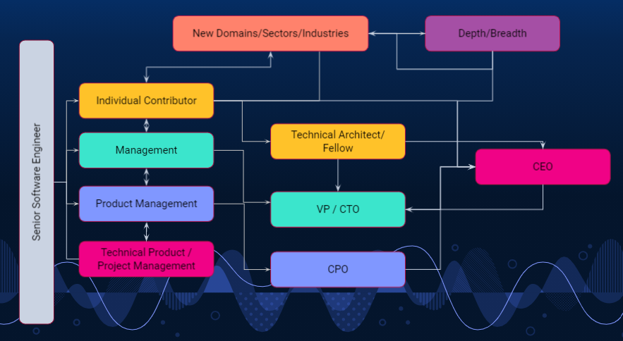 Ceo Career Path