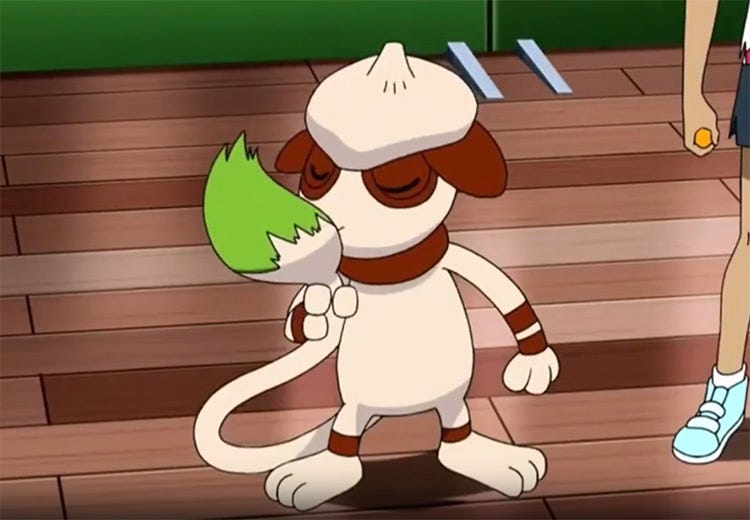 Doge Pokemon