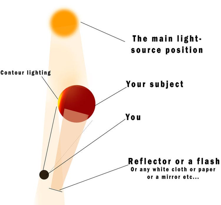 Uses Of Visible Light In Photography
