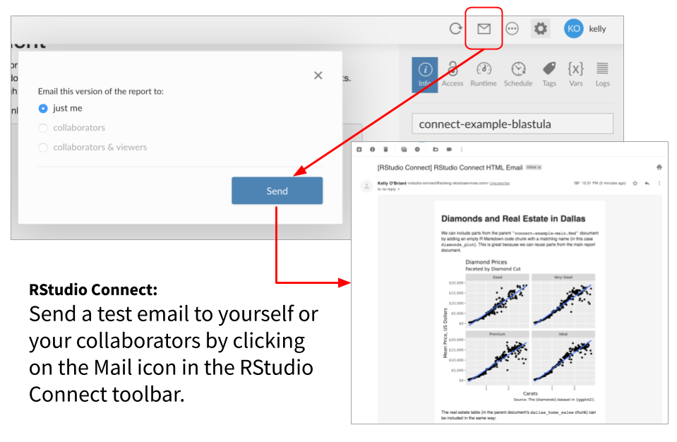 Blastula R How Cold Shock Affects Ploidy Level And Early Ontogenetic