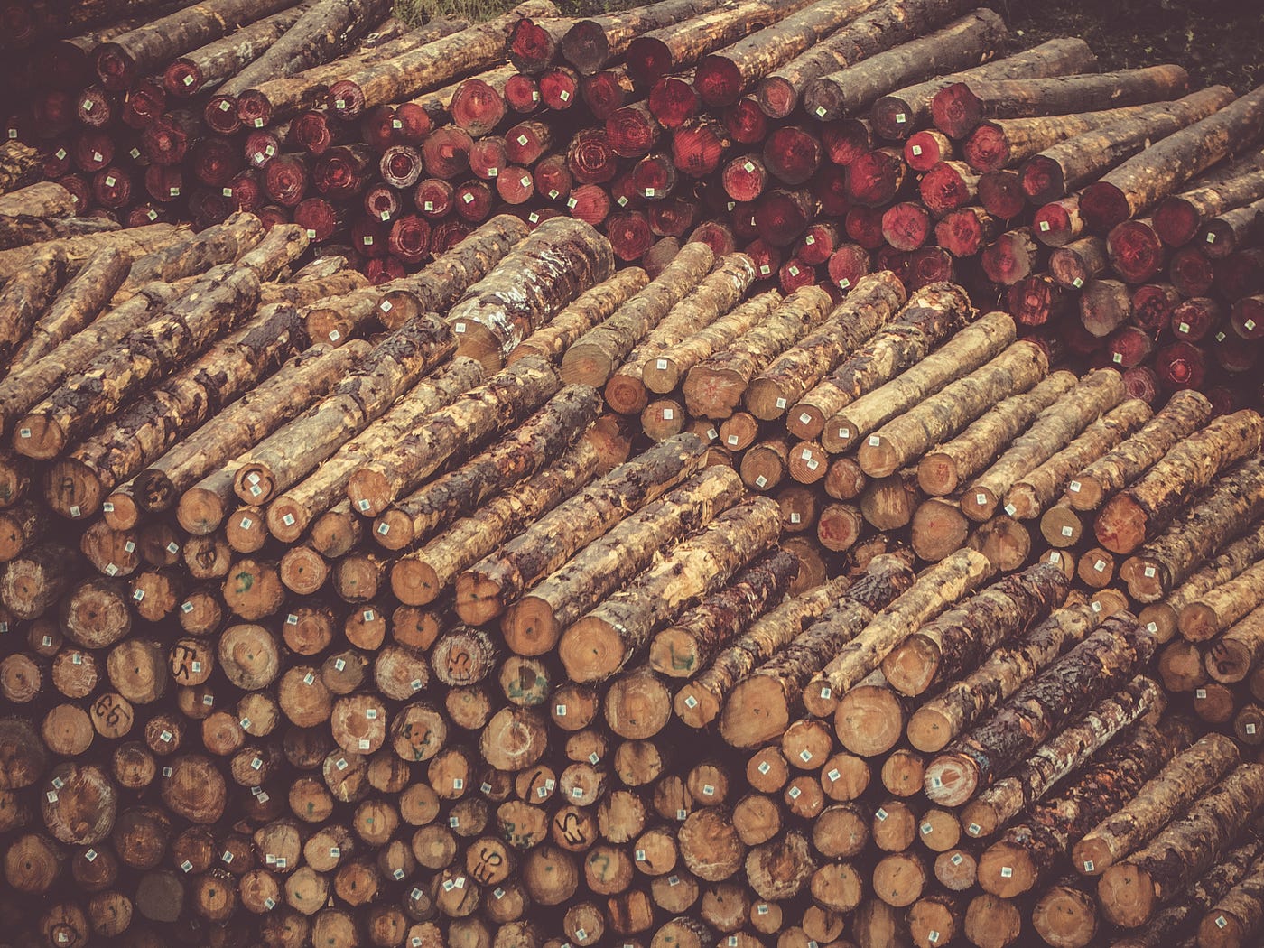 Modern Logging Pictures