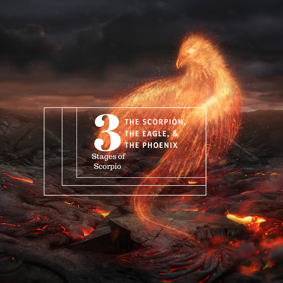 Scorpio Phoenix Wallpaper