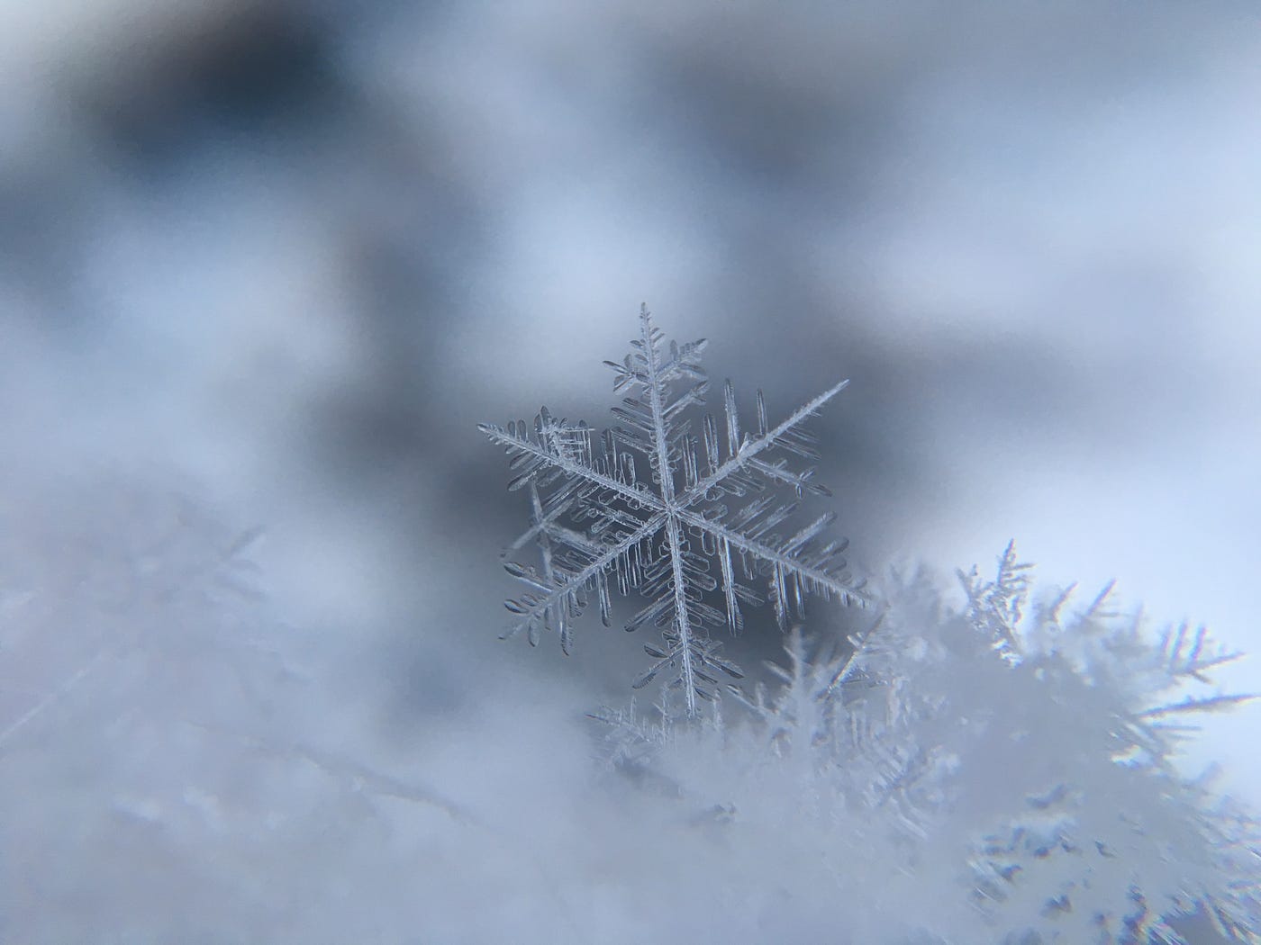 Snowflake Twitter Headers