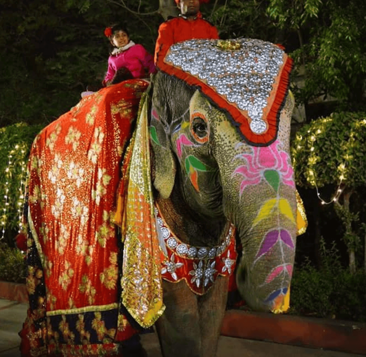 Elephants in indian weddings 60 photos - Astyledwedding.com