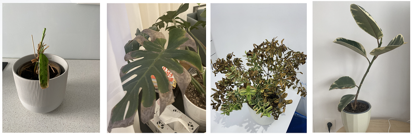 Wifi Plant Monitoring System Based On Arduino Mega And