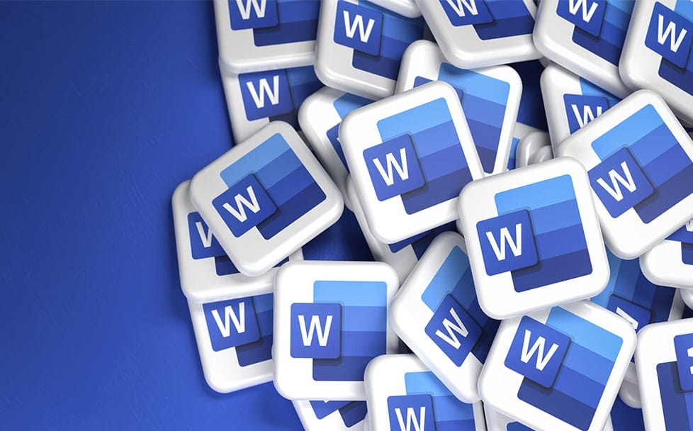 Word Processing Software