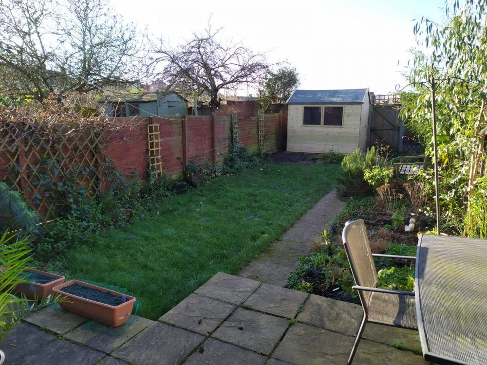 Suburban Gardens Beautiful Backyard