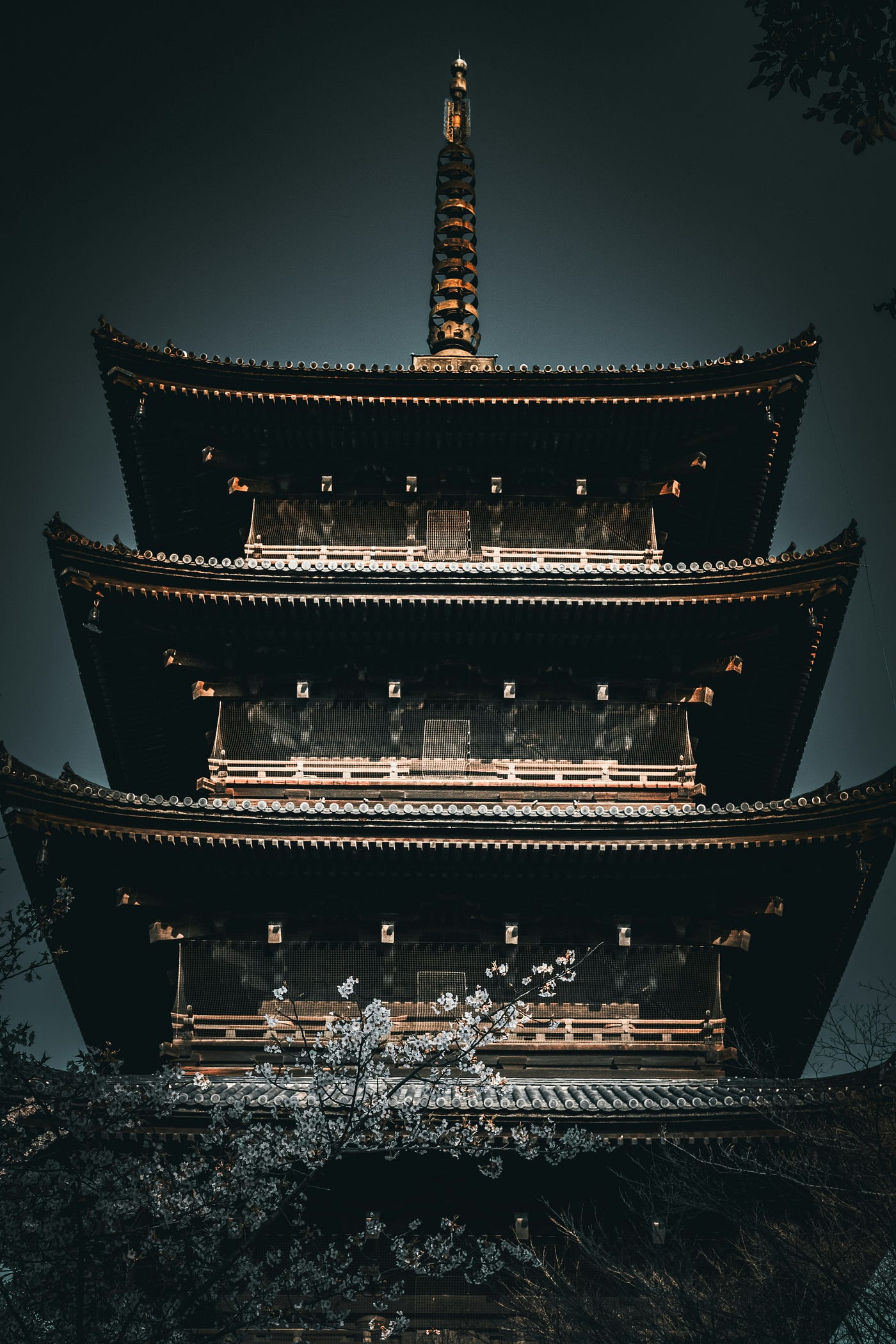 Beautiful Toji Temple In