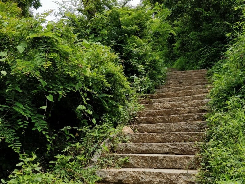 Maduvu