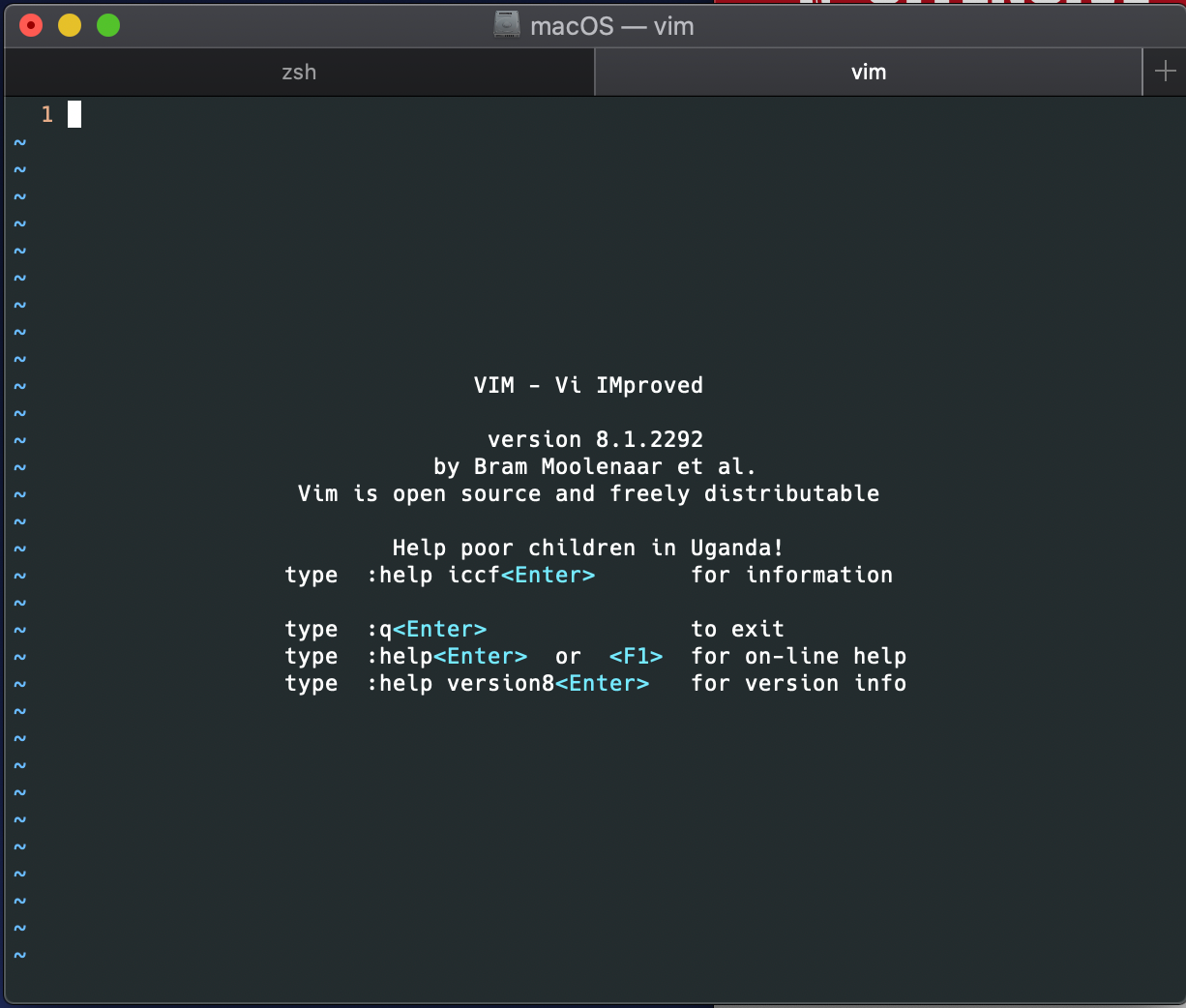 First Try At Recreating My Linux Vim On Windows Nvimqt Vimporn