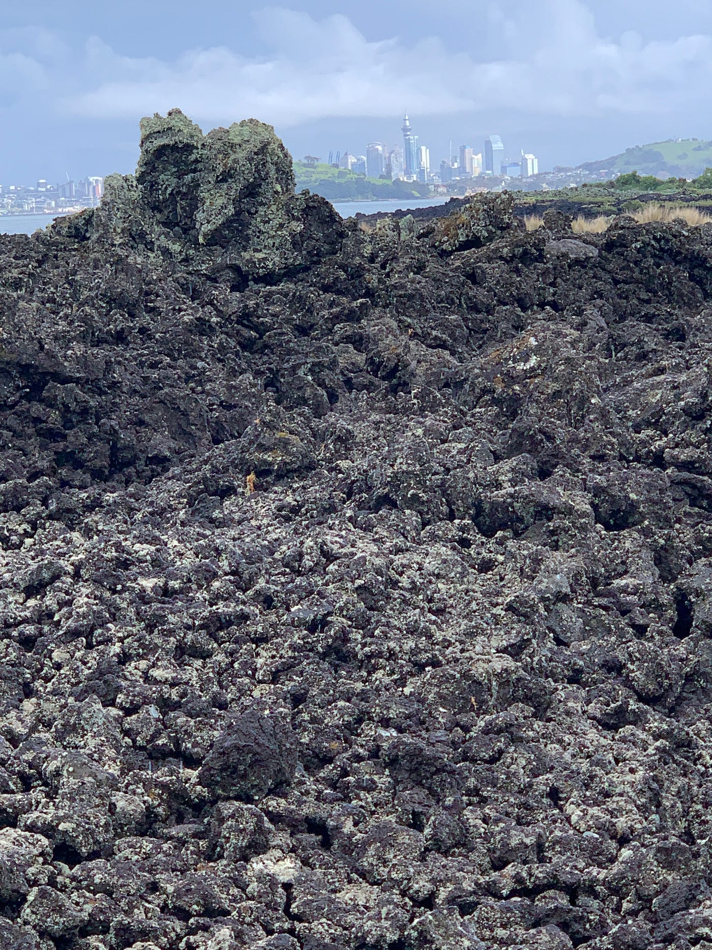 Rangitoto Volcano