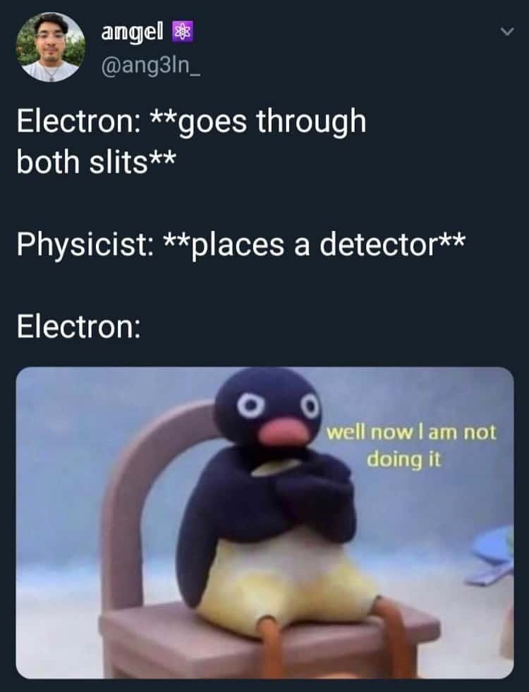 Quantum Mechanics Physics Humor Biology Memes Engineering Memes