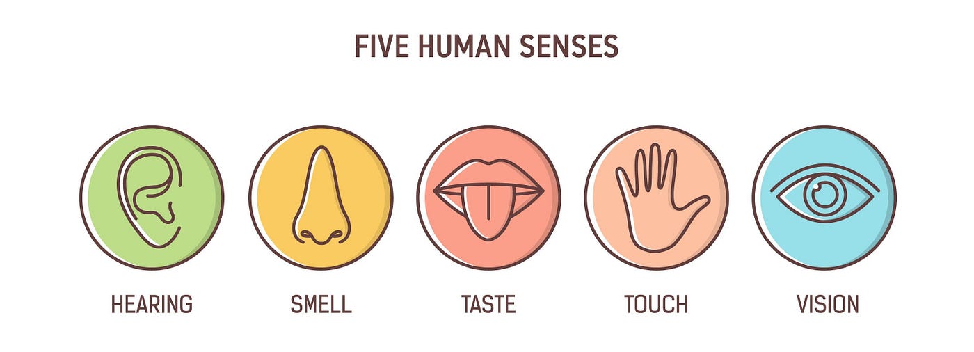 Sensory Product Design