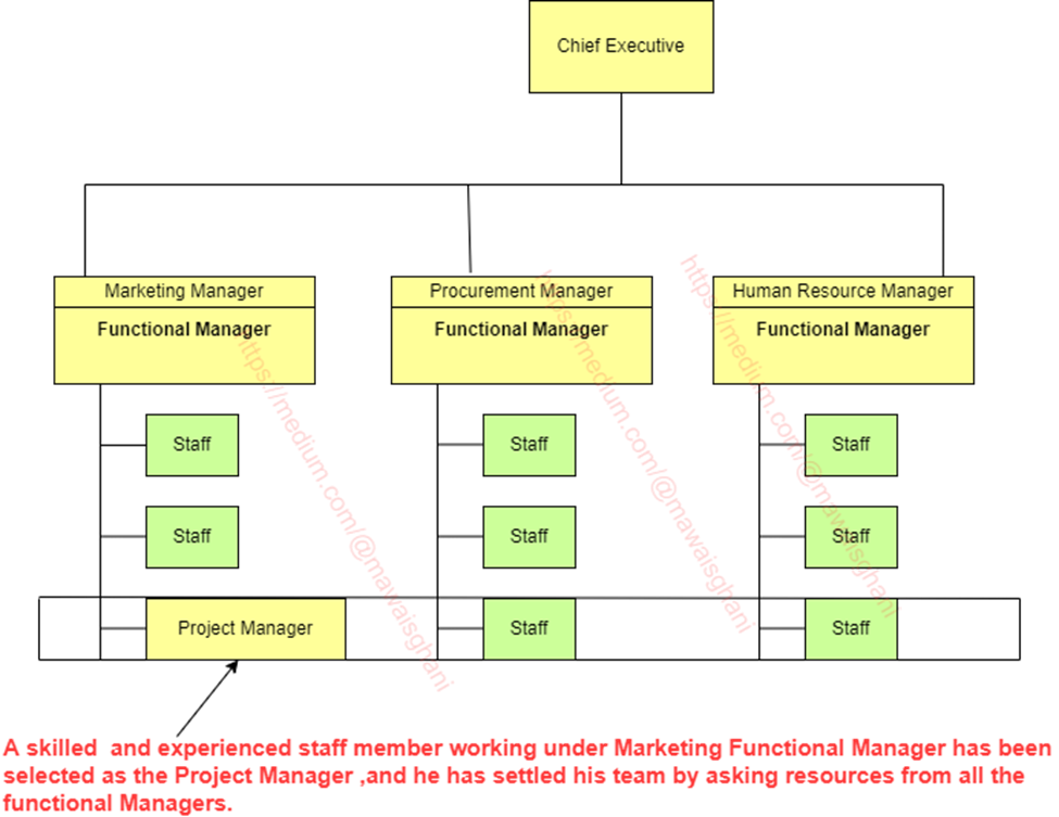 Project Management Structures