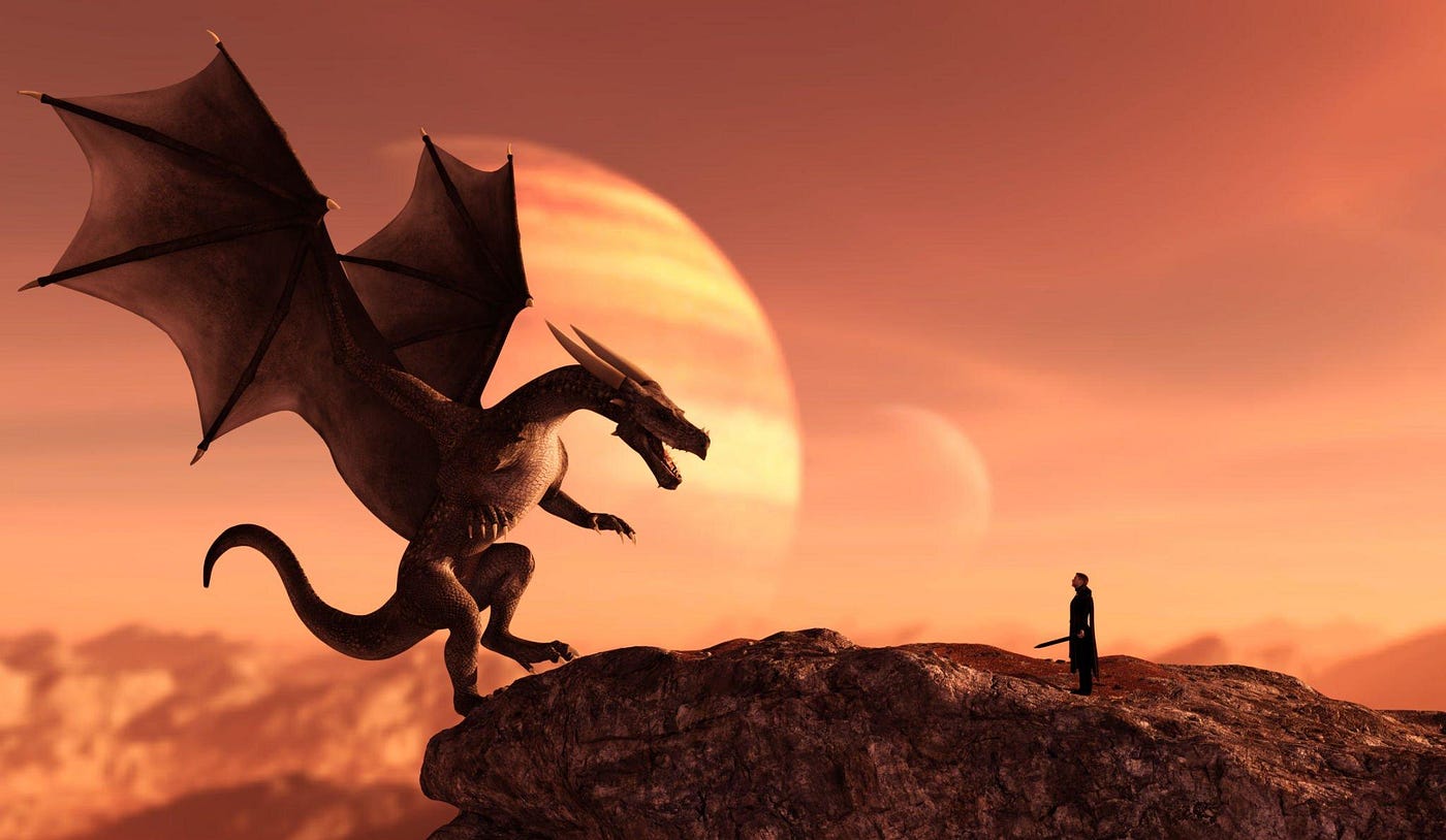 Dragon And Human Bonding